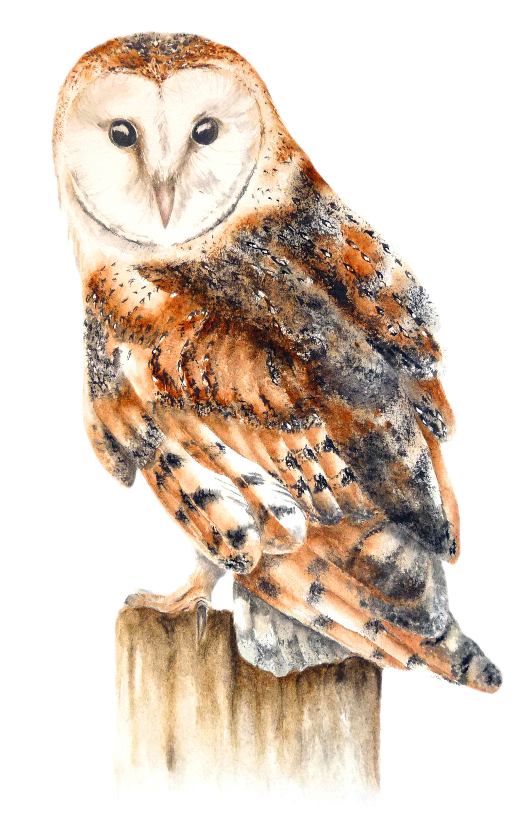 Gallery | Marie Burke Art
